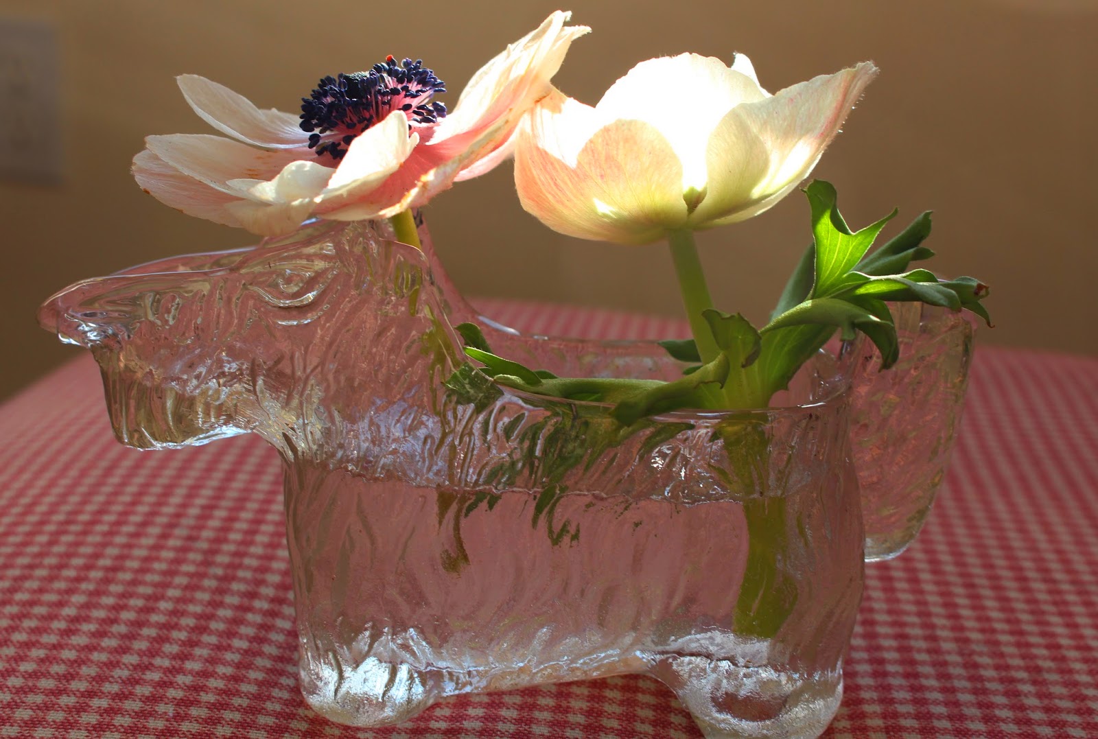 7 Petals Floral Design MaryAnn Nardo: The National Flower of Israel
