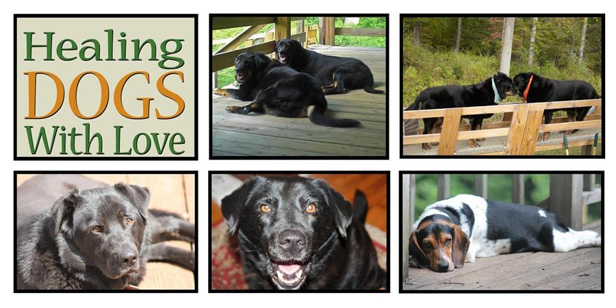 Healing Dogs with Love: M&M Photo Book