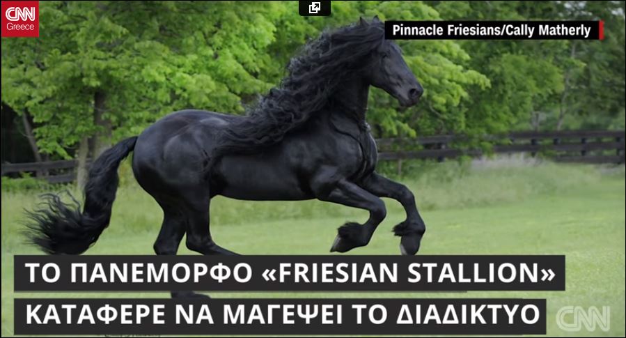 ΣΑΝ ΑΓΑΛΜΑ... Ο ΦΕΝΤΕΡΙΚ Ο «ΜΕΓΑΣ» ΕΙΝΑΙ ΤΟ ΠΙΟ ΟΜΟΡΦΟ ΑΛΟΓΟ ΣΤΟΝ ΚΟΣΜΟ ...