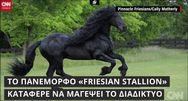 ΣΑΝ ΑΓΑΛΜΑ... Ο ΦΕΝΤΕΡΙΚ Ο «ΜΕΓΑΣ» ΕΙΝΑΙ ΤΟ ΠΙΟ ΟΜΟΡΦΟ ΑΛΟΓΟ ΣΤΟΝ ΚΟΣΜΟ ...