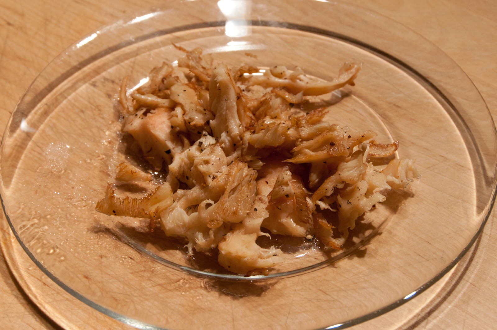 Outdoor Jay: Edible BEAR'S HEAD TOOTH (a.k.a. Hericium Americanum ...