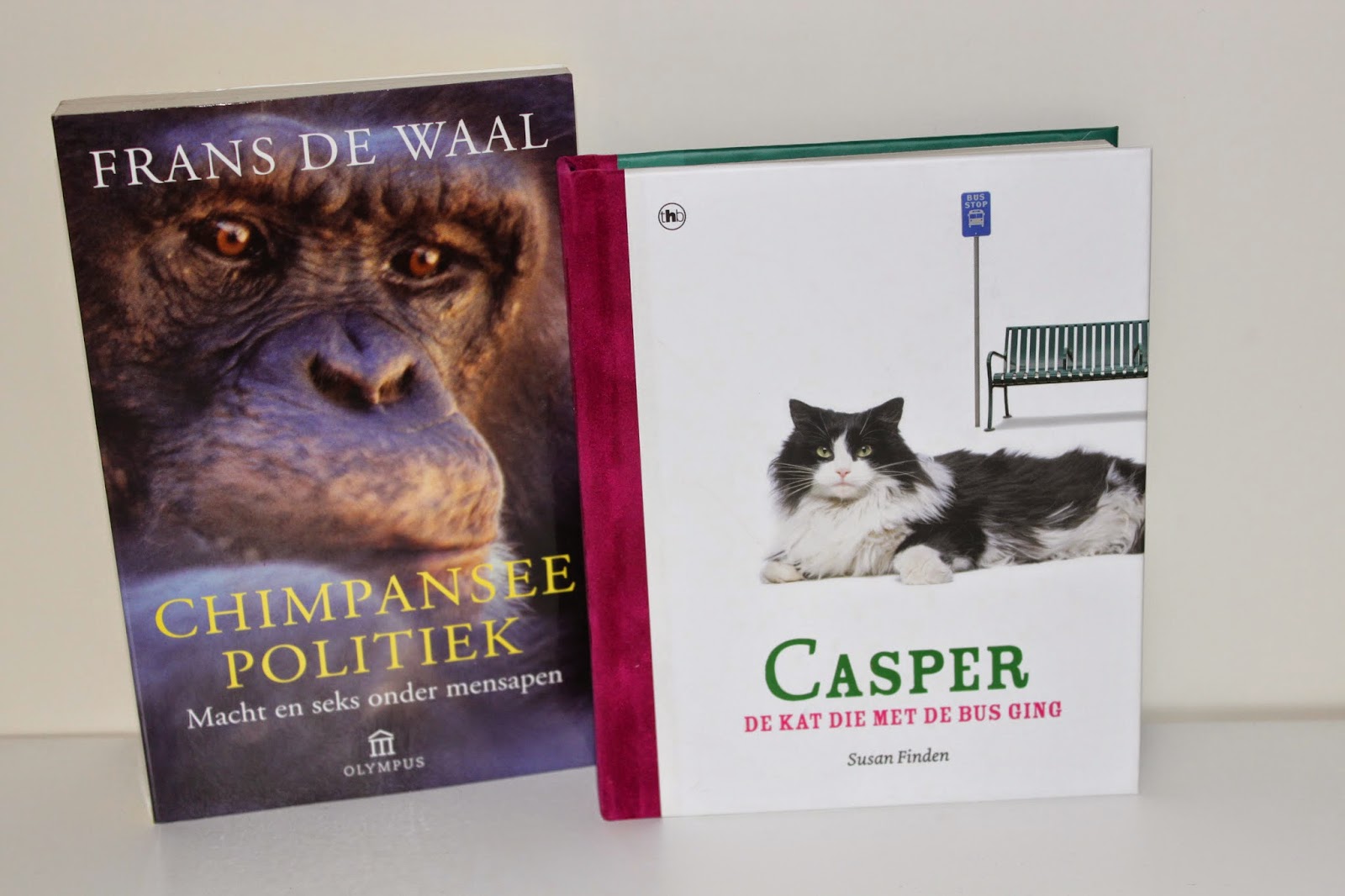 Tesjebesje: Boeken Boeken die ik ga lezen #1