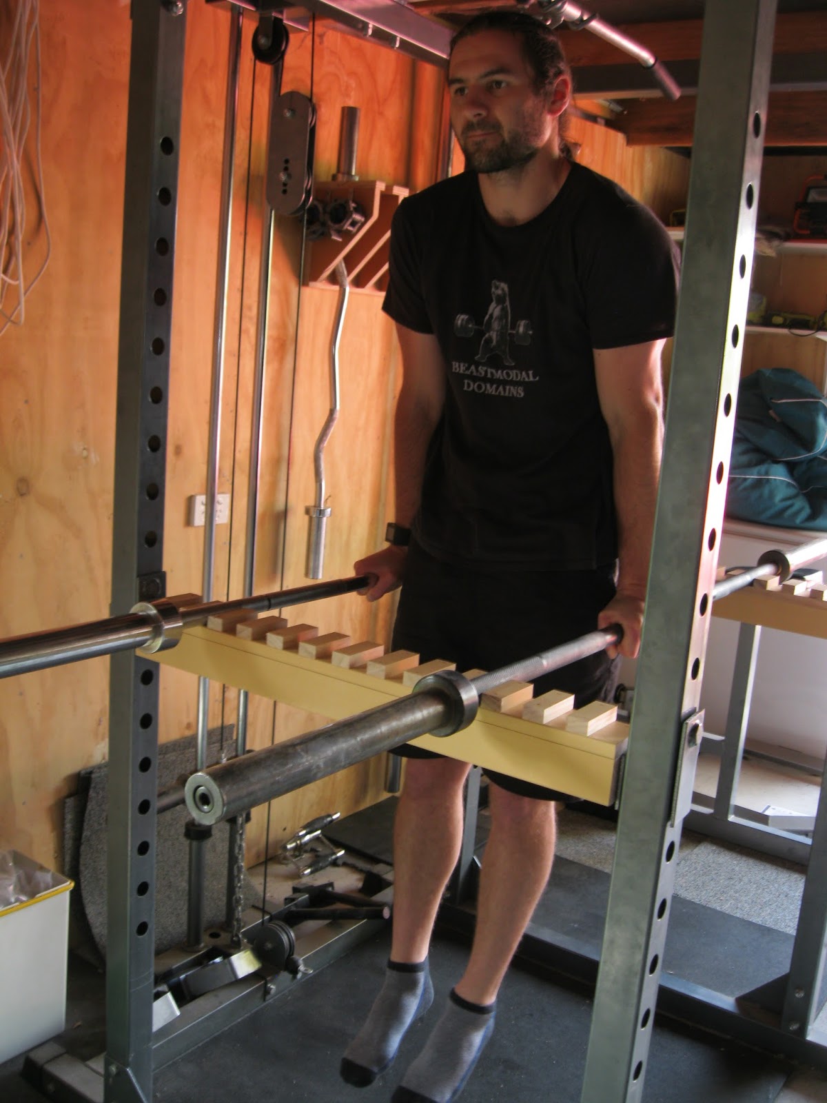 Enthusiastic Amateur: Power Rack Parallel bars
