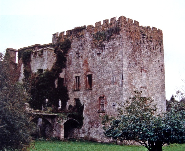 Landed families of Britain and Ireland: (260) Aylmer of Donadea Castle ...