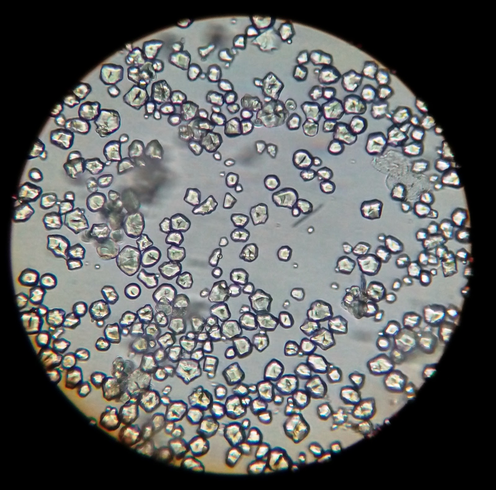 FATMA ZAHRA (fzahra): TUGAS MANDIRI PRAKTIKUM FARMAKOGNOSI-FITO I ...