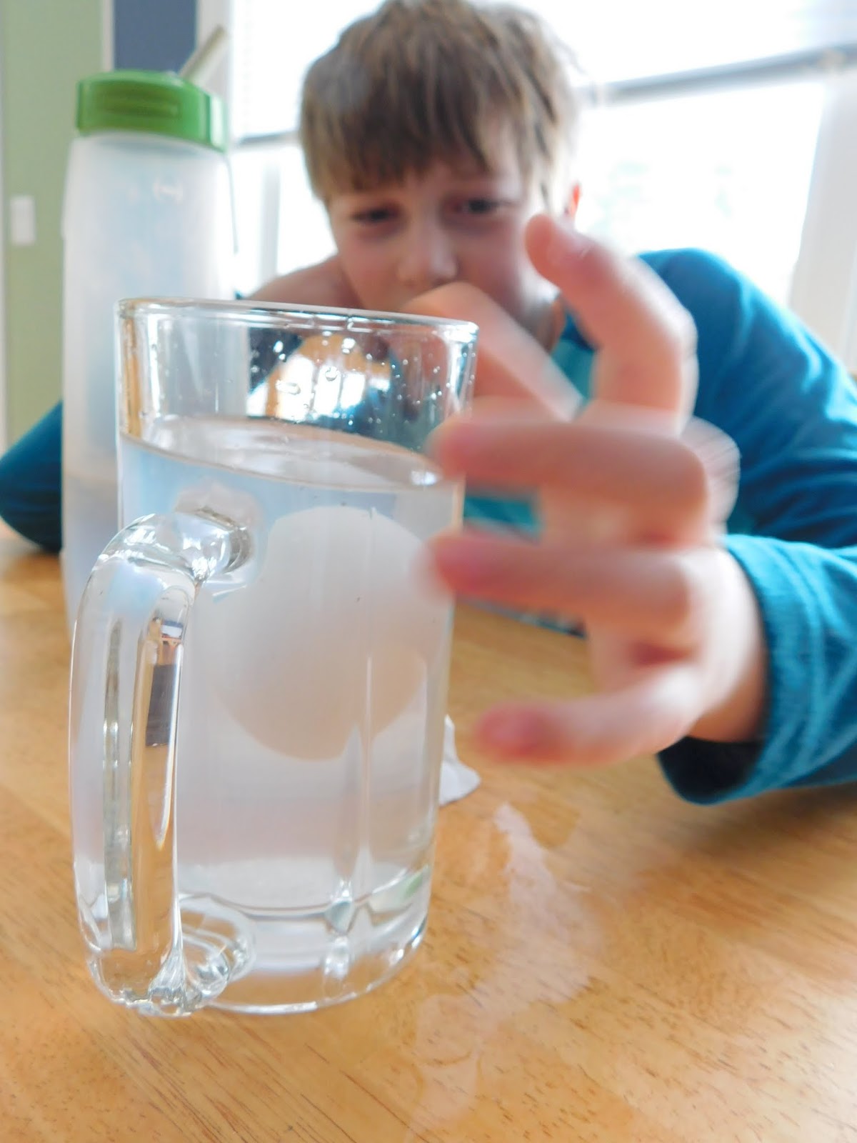 100 Days of Science #18-- Floating Eggs