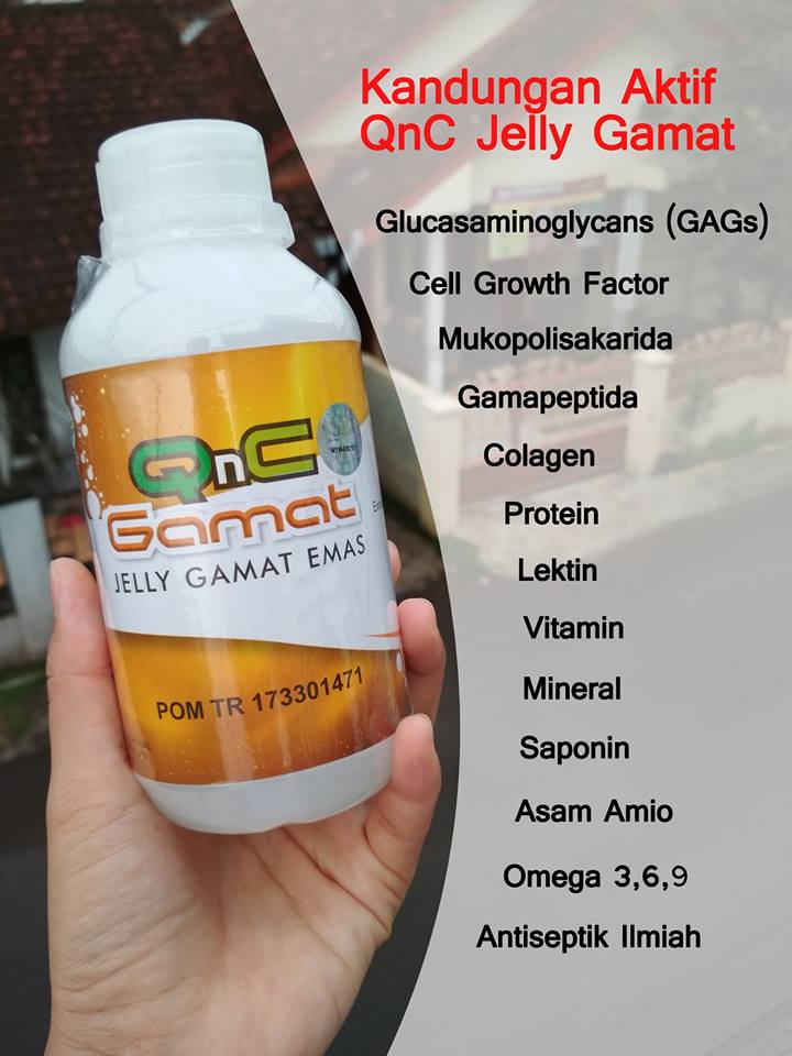 Obat Gamat - Perumperindo.co.id