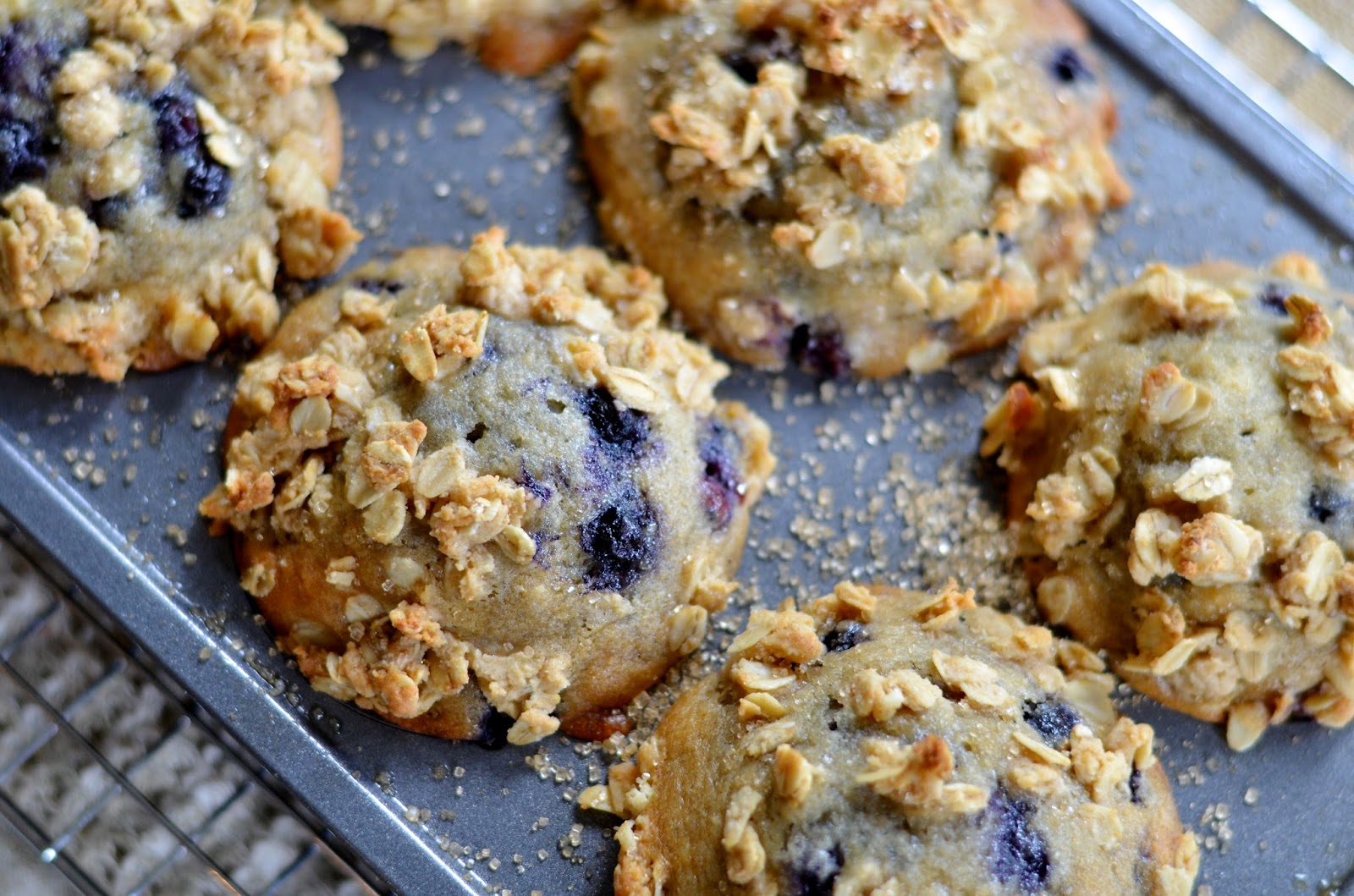 stuffed rabbit: hearty blueberry muffins
