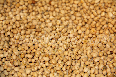 Deep South Dish: Southern-Style Lady Cream Peas