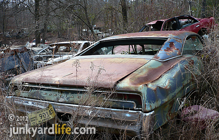 Junkyard Life: Classic Cars, Muscle Cars, Barn finds, Hot rods and part ...