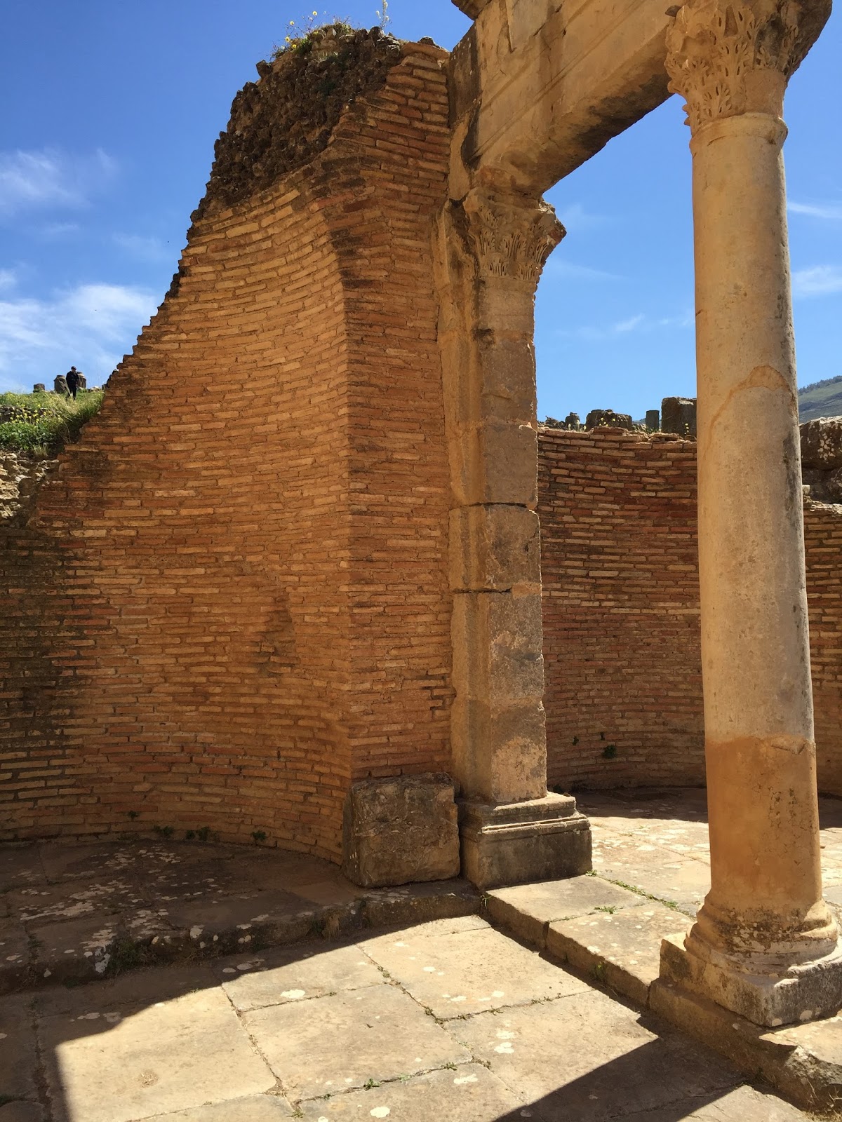 Tocho T8: Djemila (Cuicul, ciudad romana en Argelia), entre el comercio ...