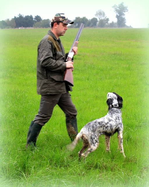 Méo ~ Photos: Suivons le chasseur