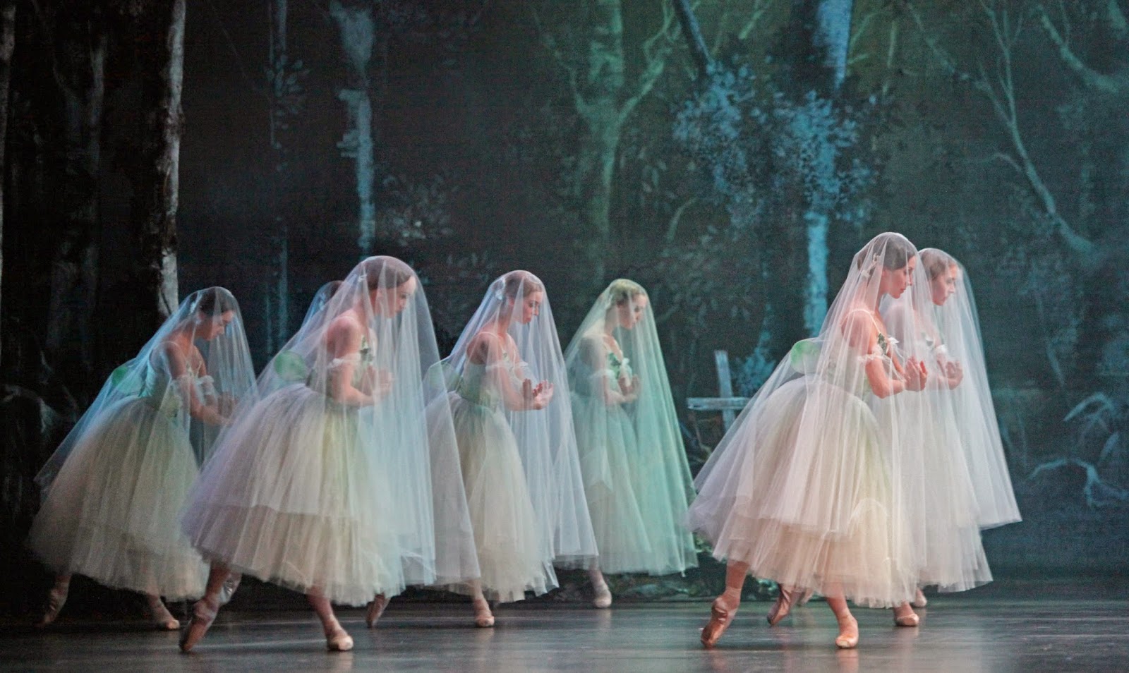 Newly Domesticated: Ballerina Bride