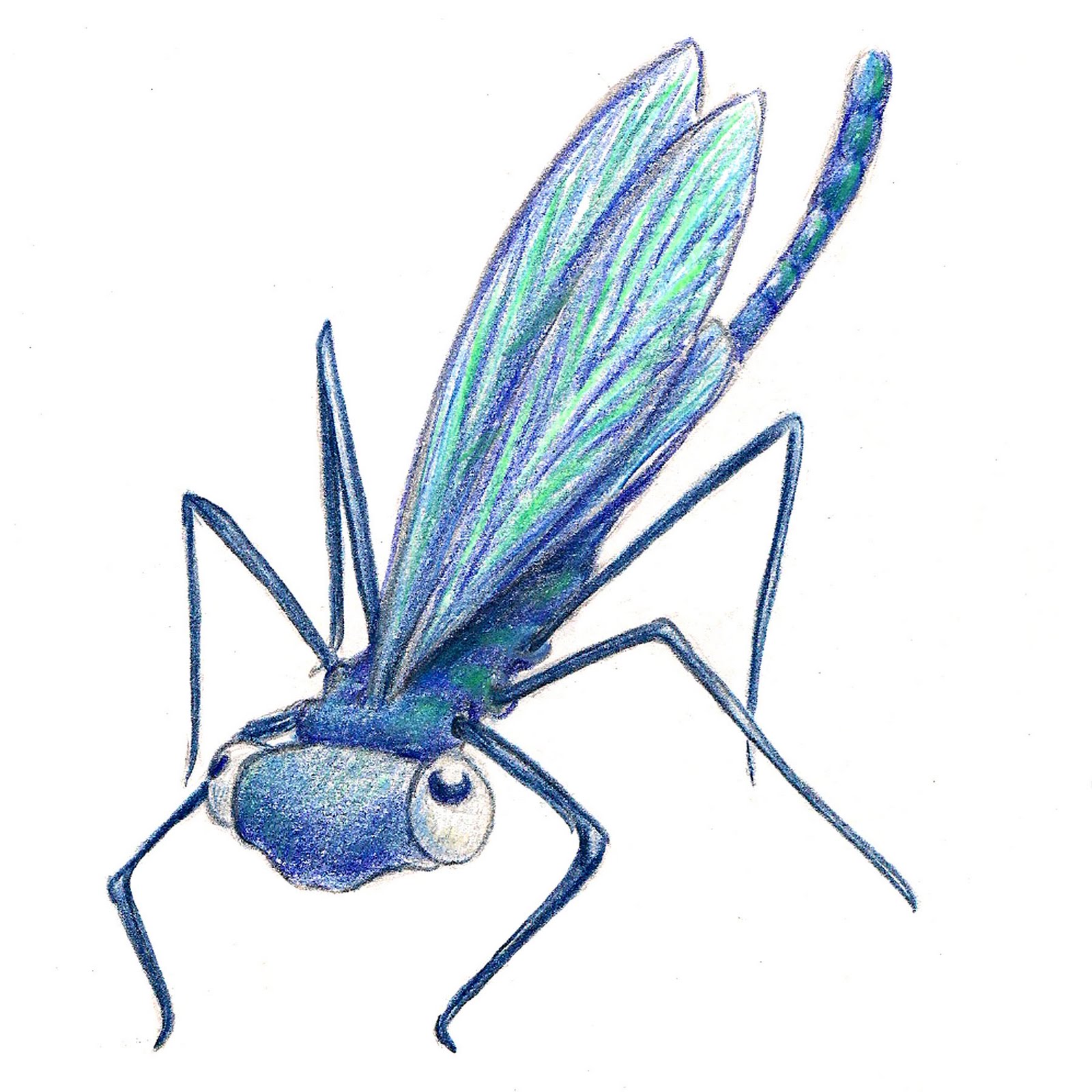 Kate Guthrie: Zodiac Bugs!