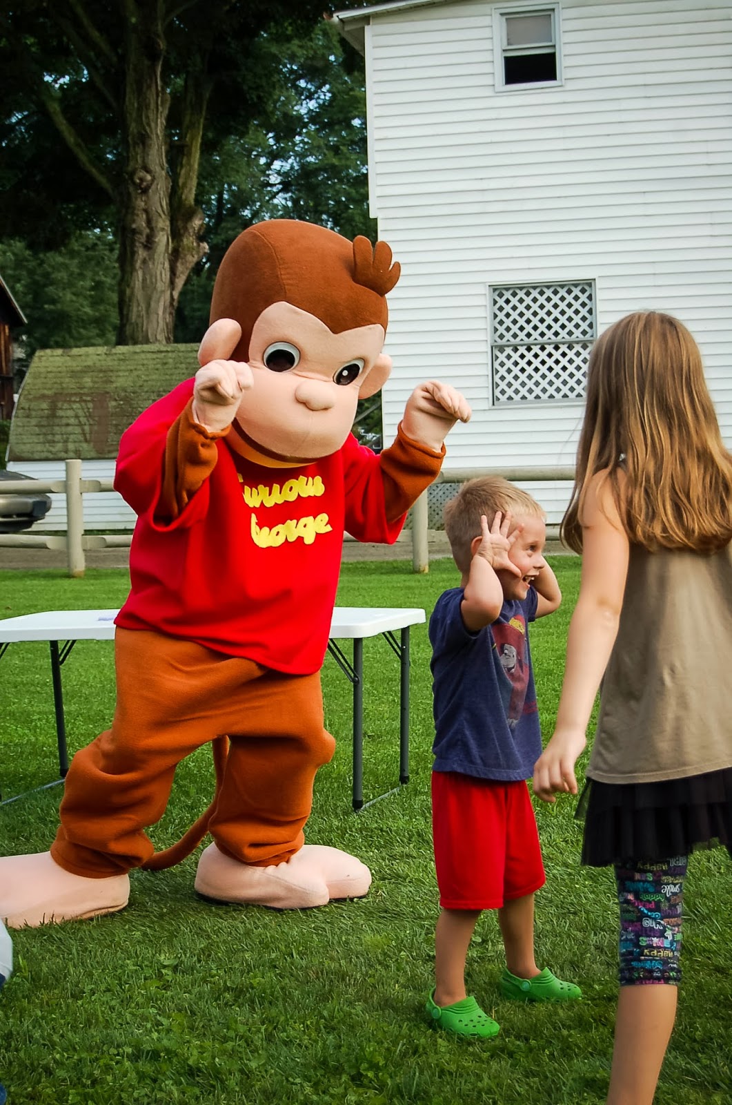 The Buddy Bee Makes Three: Buddy Bee Meets Curious George