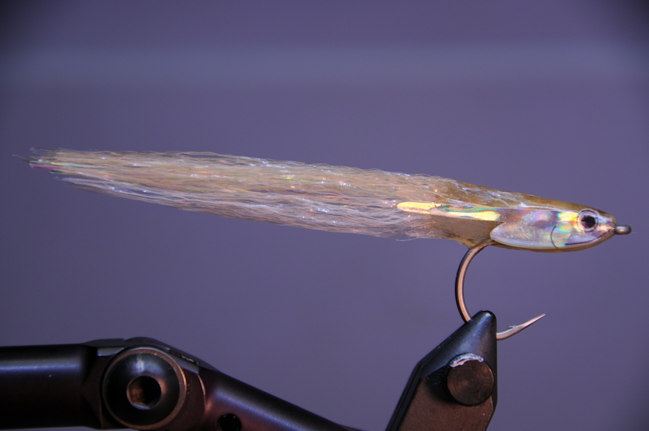 Flies of Fancy by Nikki