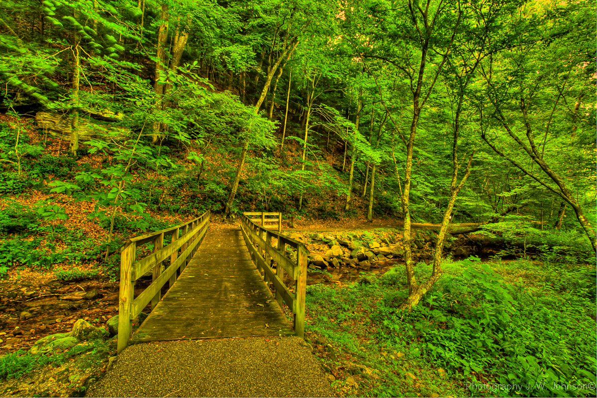 Lincoln's Domain: Morning at Kanawha State Forest on July 4th