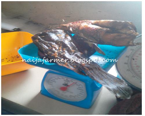 Catfish Processing Business- Smoke drying and packaging of Catfish ...