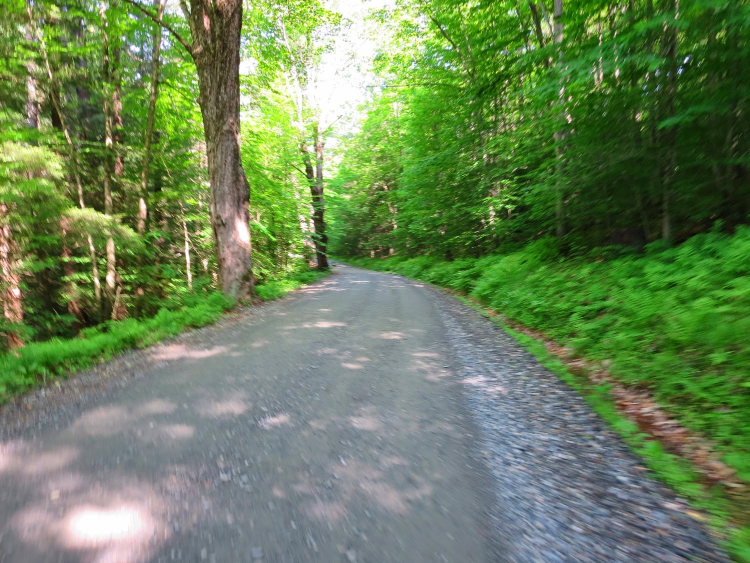 Shad Rides: Ride # 60: Tour de Heifer; with Team Shad in the Hills of ...