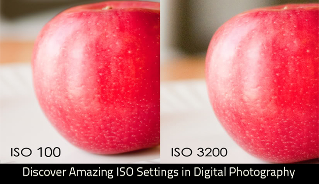 Discover Amazing ISO Settings in Digital Photography ~ DSLR Camera ...