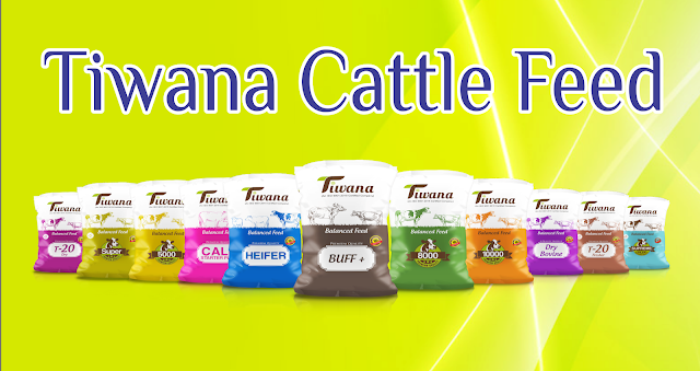 Tiwana Cattle Feed ~ Tiwana Oil Mills Pvt. Ltd.