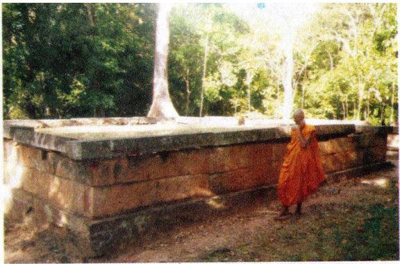 මල්ල රජුන්ගේ සල් උයන (The Sal grove of kings of Malla) ~ Buddha Lived ...