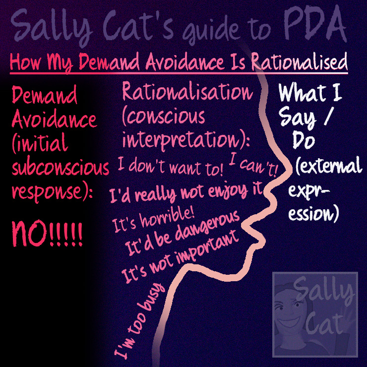 Sally Cat PDA: Memes About Demand Avoidance