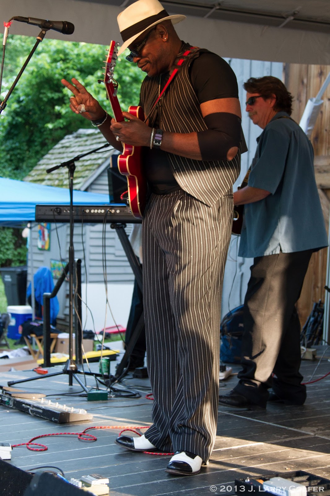 Great Blues Music in Falls Church: The Tinner Hill Festival