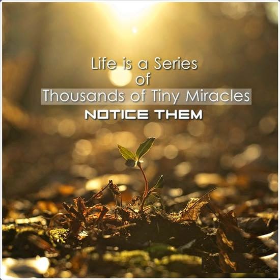 LIFE IS A SERIES OF THOUSANDS OF TINY MIRACLES NOTICE THEM - Quotes