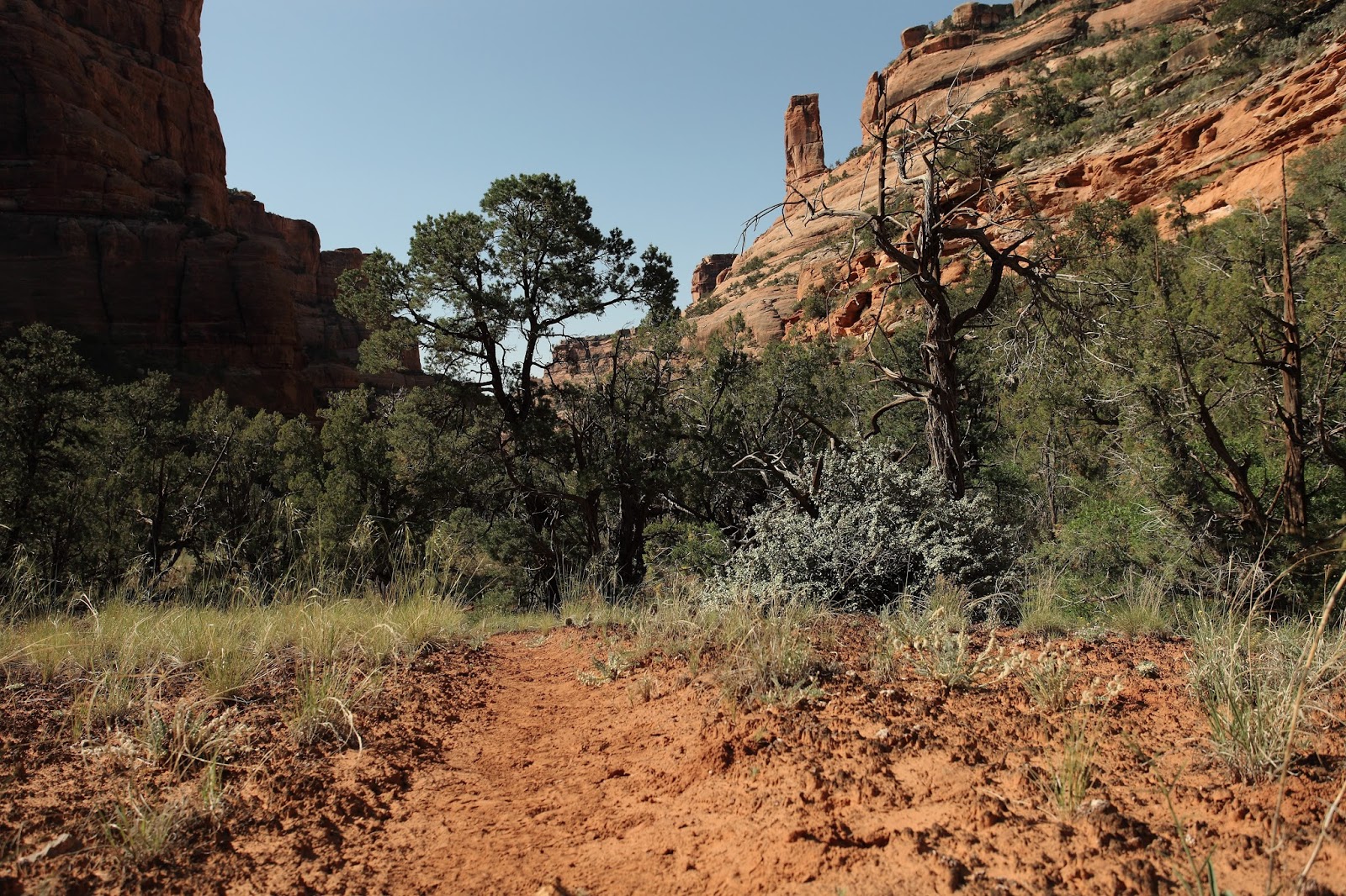 FISH CREEK CANYON-OWL CREEK CANYON LOOP TRAIL, CEDAR MESA, UTAH - ADAM ...