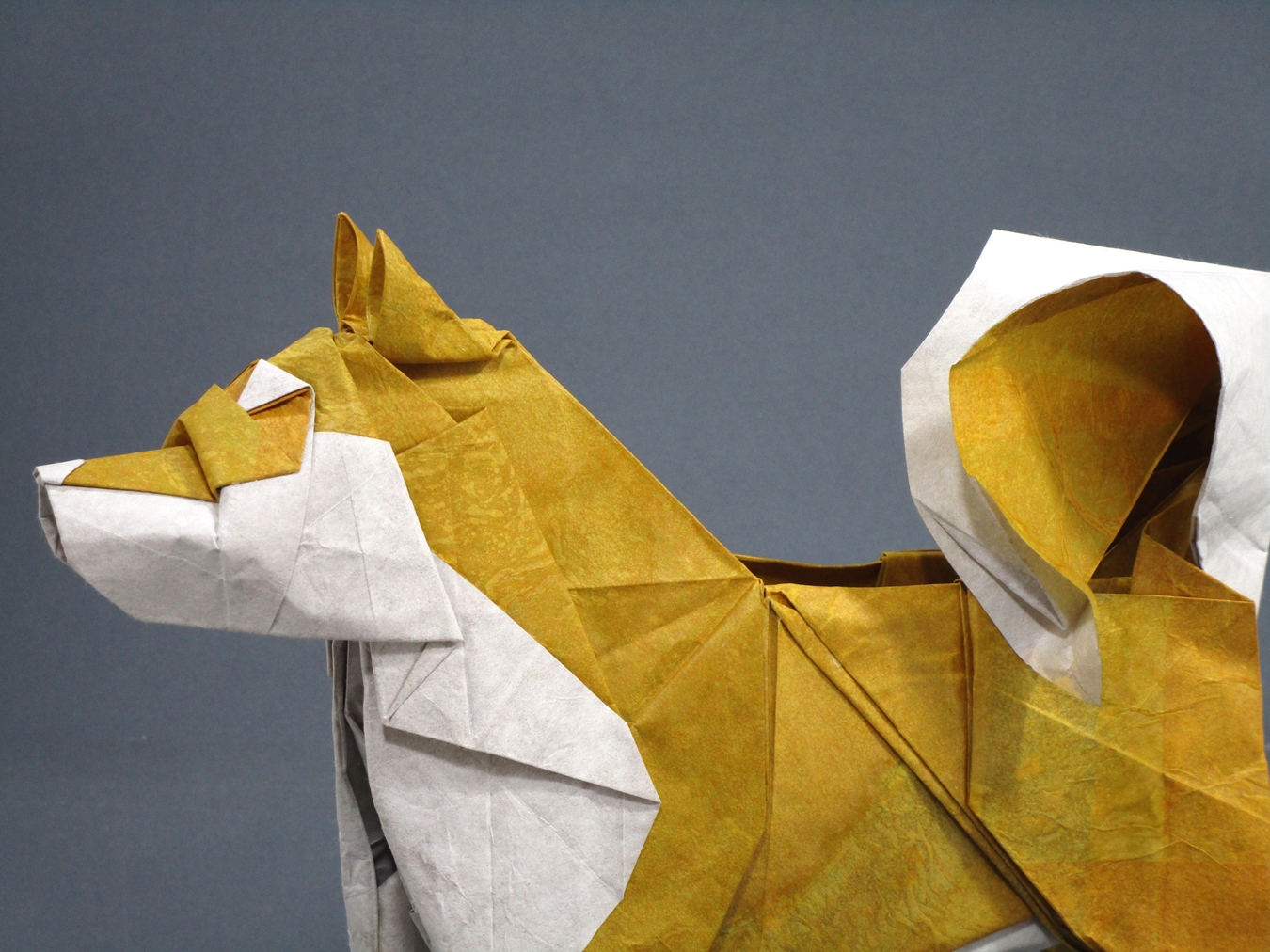Mariano-Mi mundo el Origami: Akita Inu Dog
