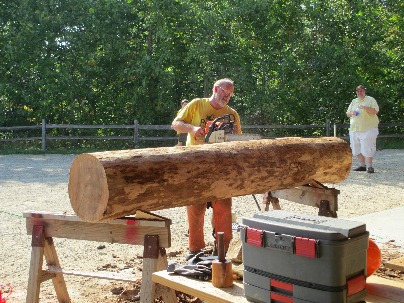 Knotty Wood Spirits: Totem Pole Carving