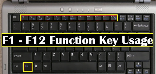 Find out the details of the keys from F1 to F12 on the keyboard. - All ...