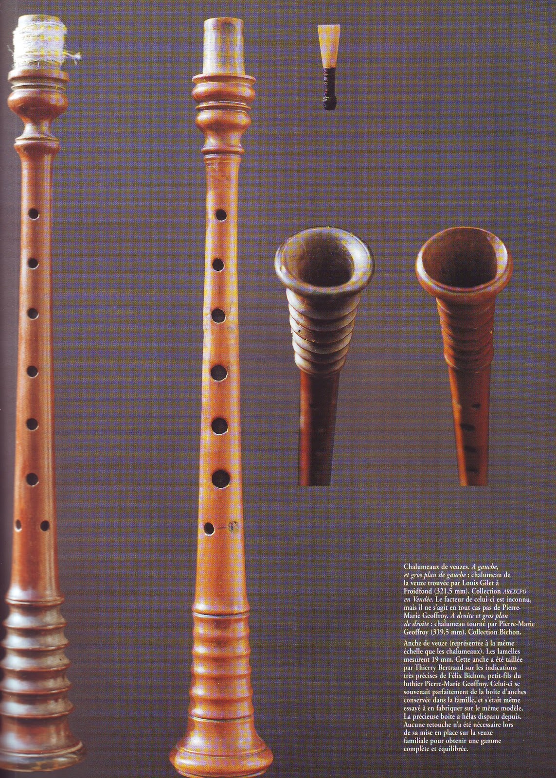 MES GENEALOGIES: LA VEUZE