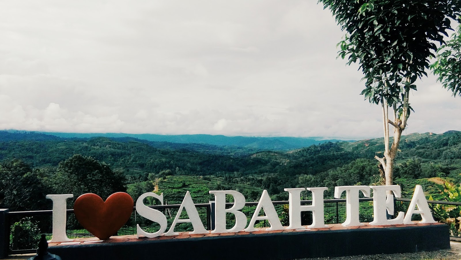 NAN: Sabah Tea Ranau - Explore Sabah