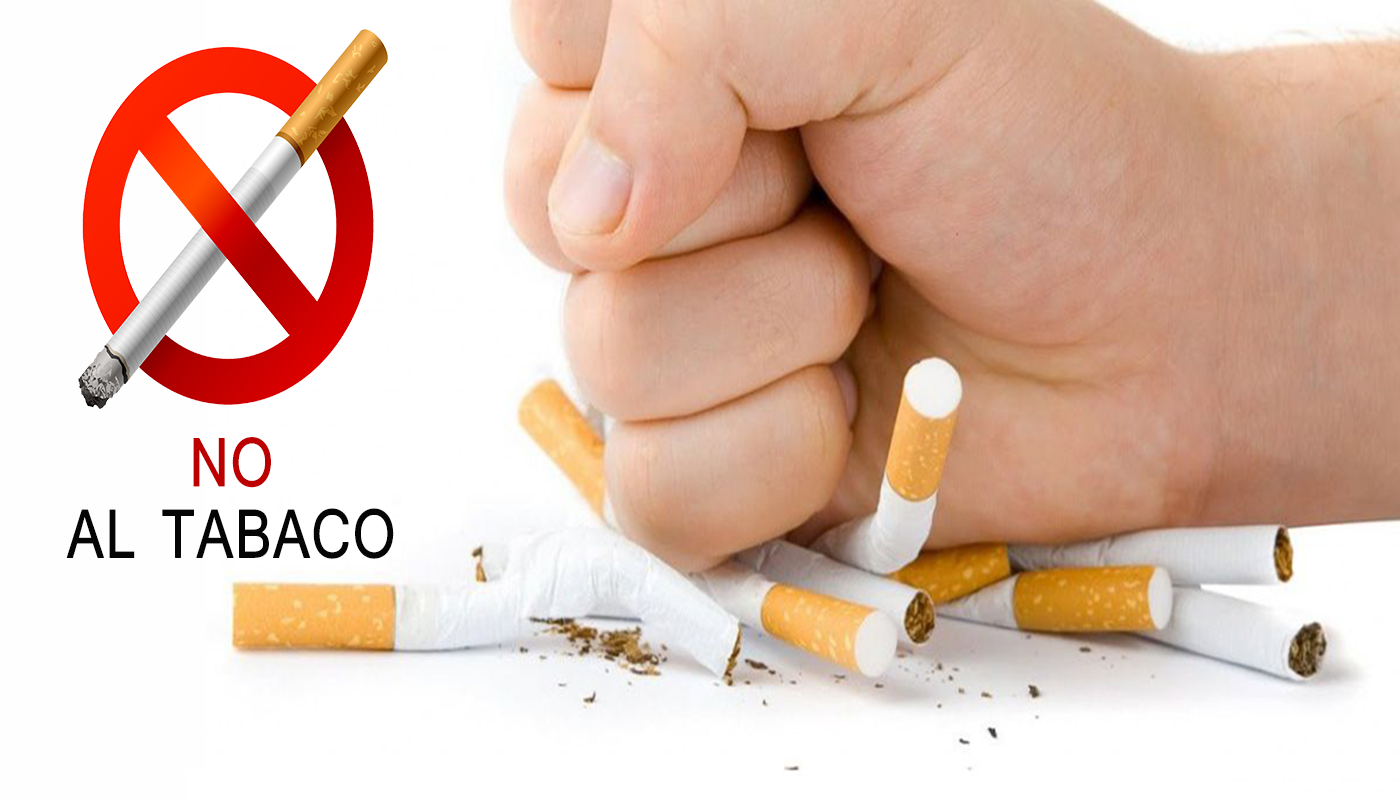 OMS: Tabaco no sólo mata a gente, también al medio ambiente | Conocer ...