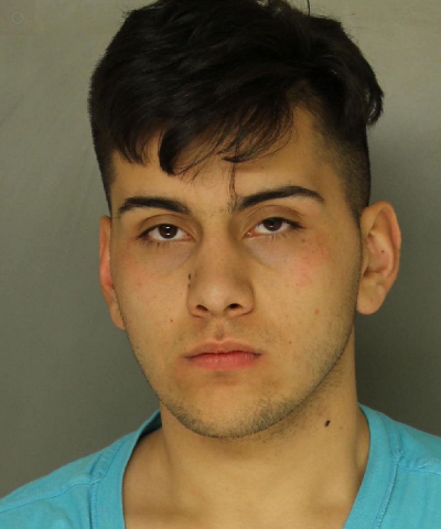 Man bites own arms after trying to break into a house and entering ...