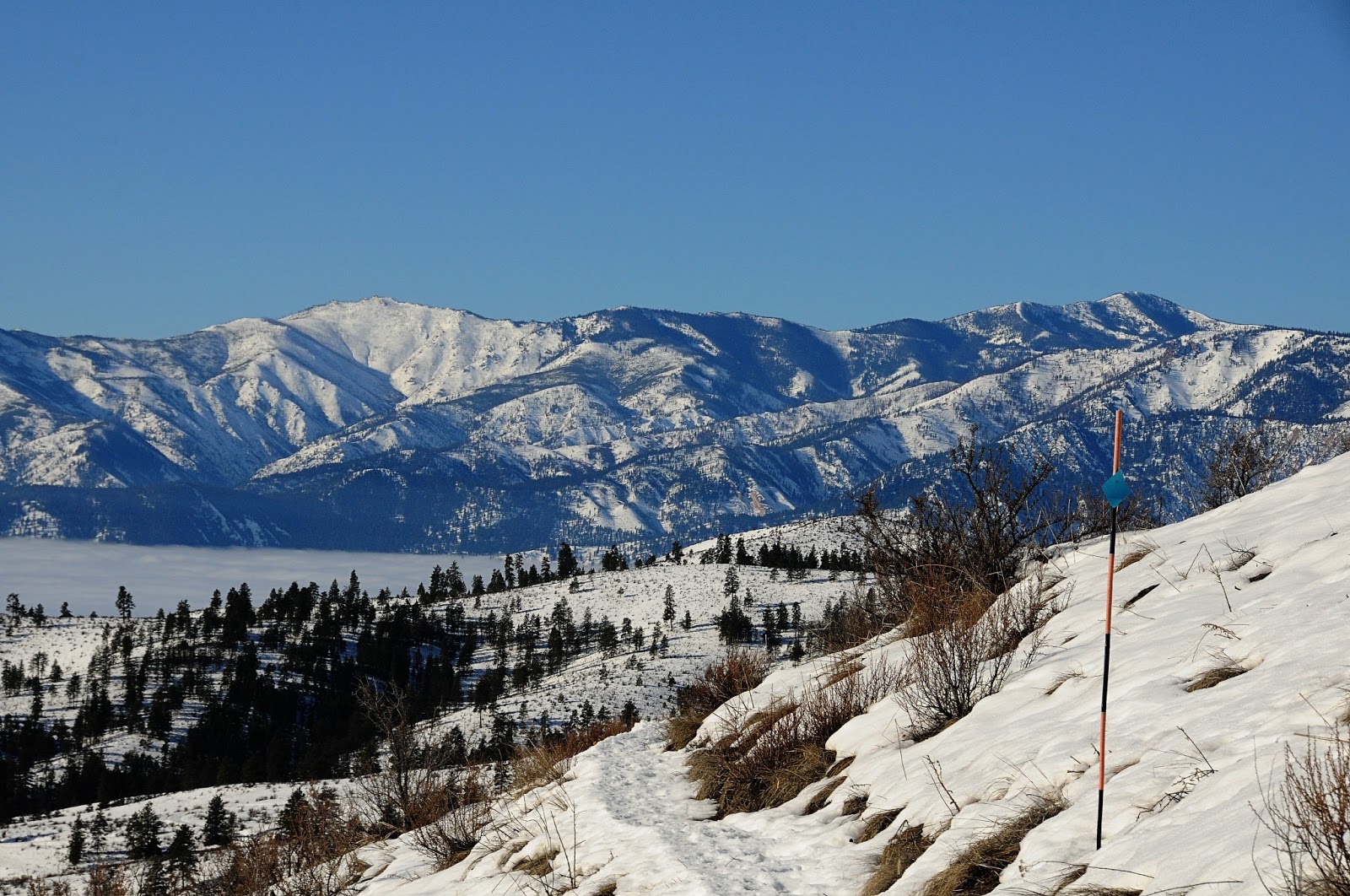 Echo Ridge Trails....The Shoe