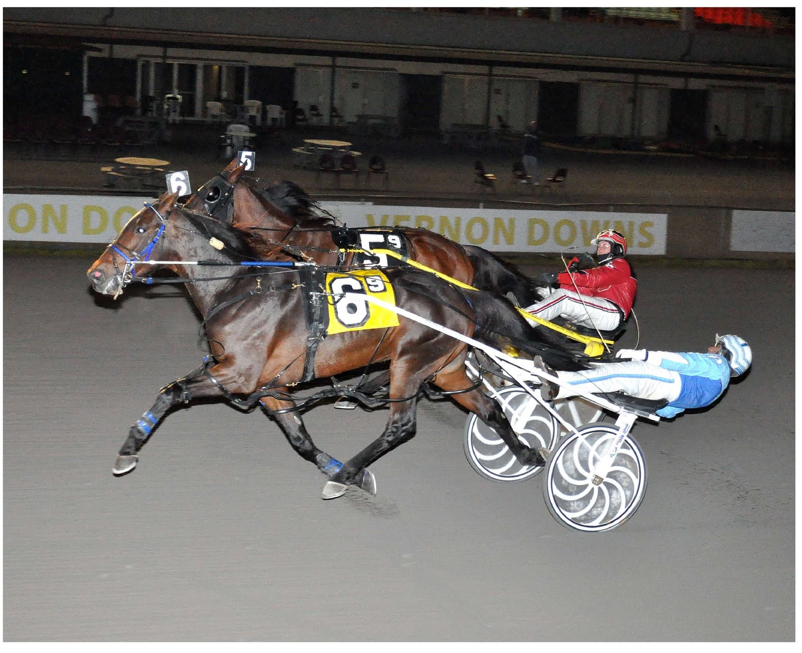 Vernon Downs Casino, Hotel & Racing News: Hay Goodlooking Becomes ...