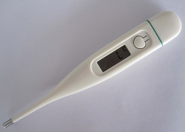 Anugerah Terindah: TERMOMETER DIGITAL DAN BBT CHART