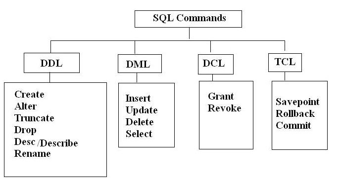 Web programming tips and tricks : What are the difference between DDL ...