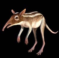 Arkeologiset löydöt ja selvittämättömät mysteerit: Dinosaurusten ...