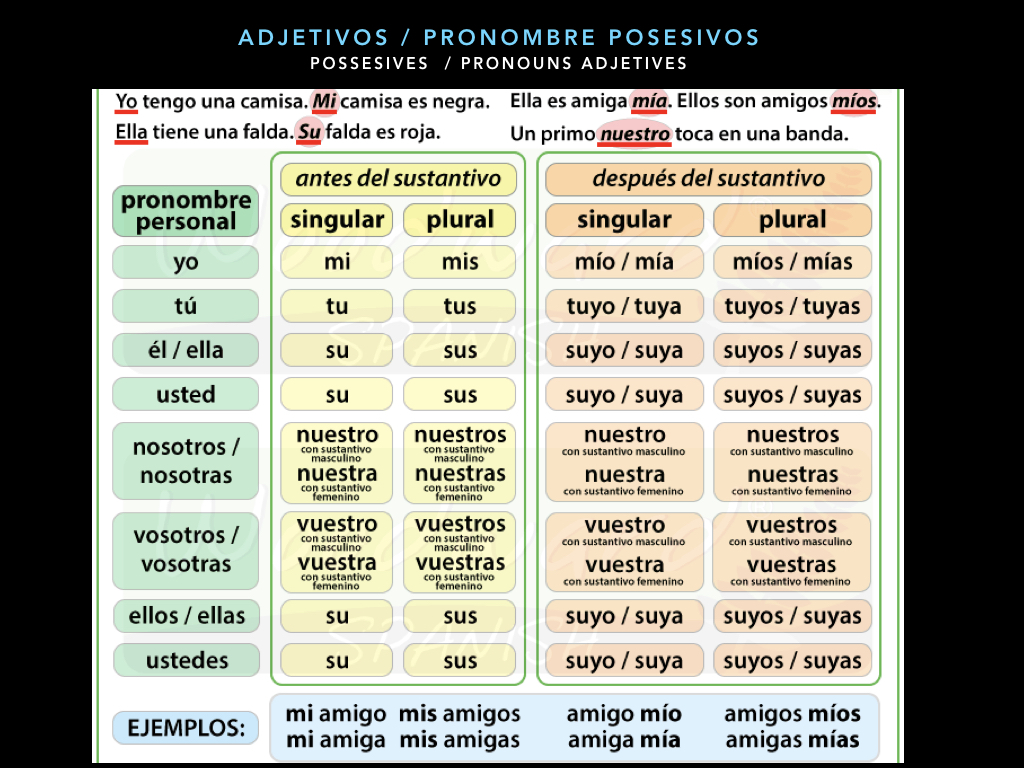 ADJETIVOS POSESIVOS Y VERBO TENER