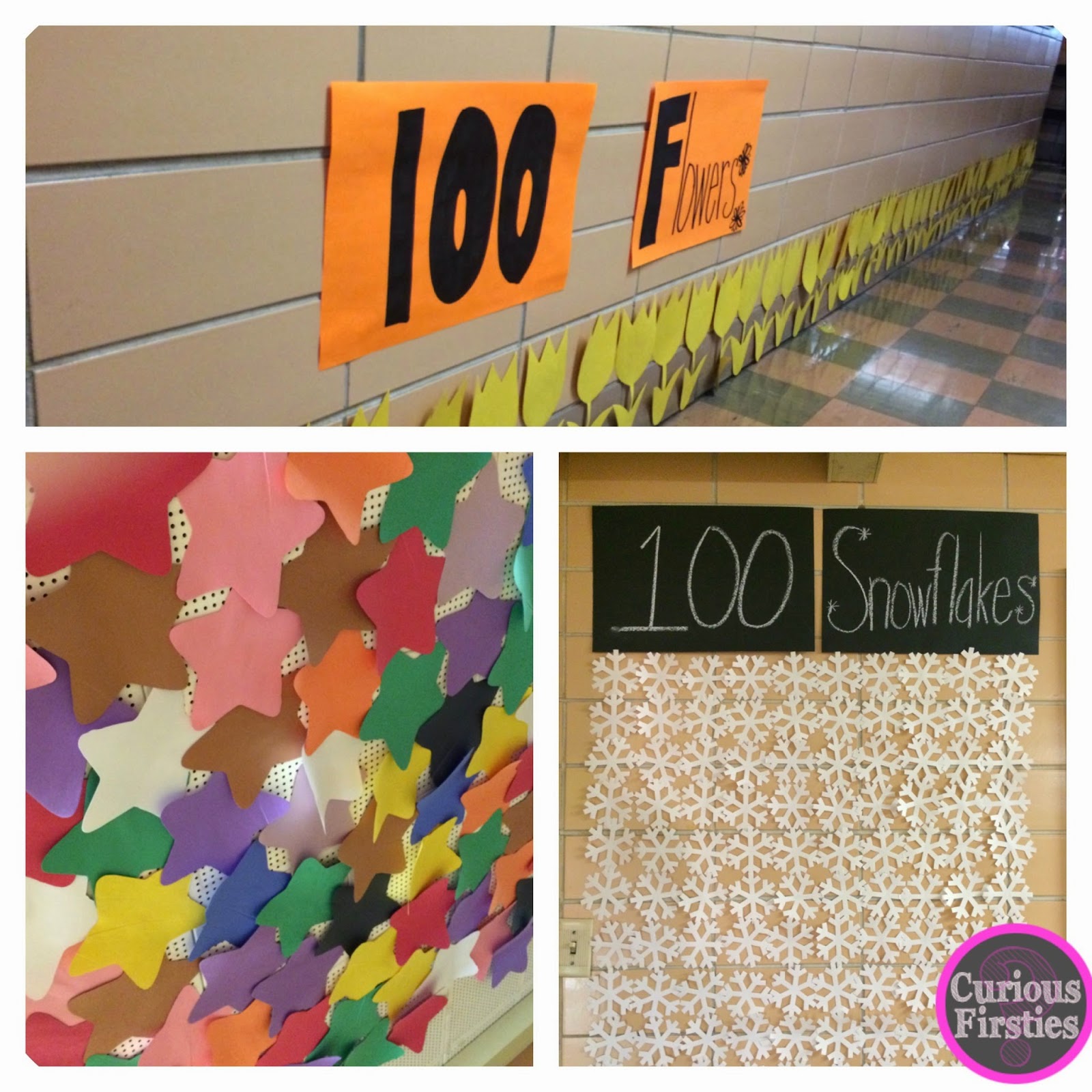 Curious Firsties: 100 Days Smarter