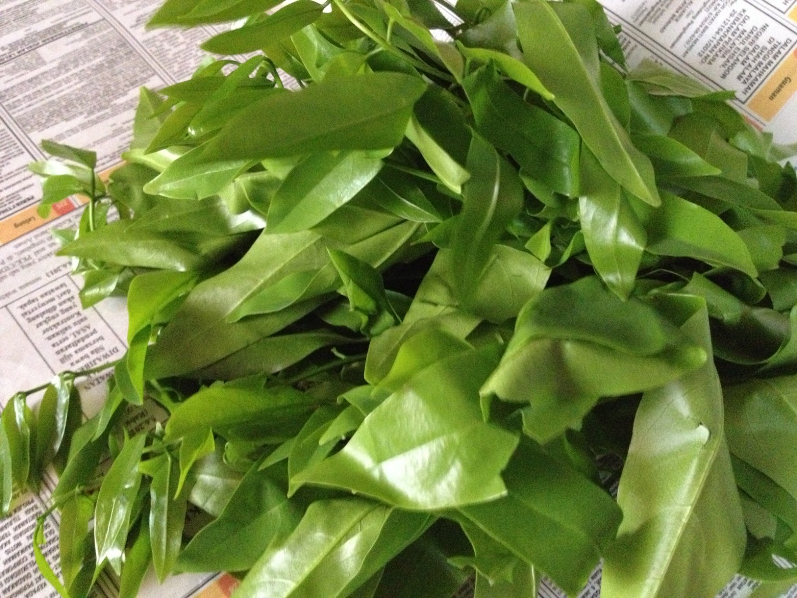 Cik Wan Kitchen: Hari Ulam Sedunia