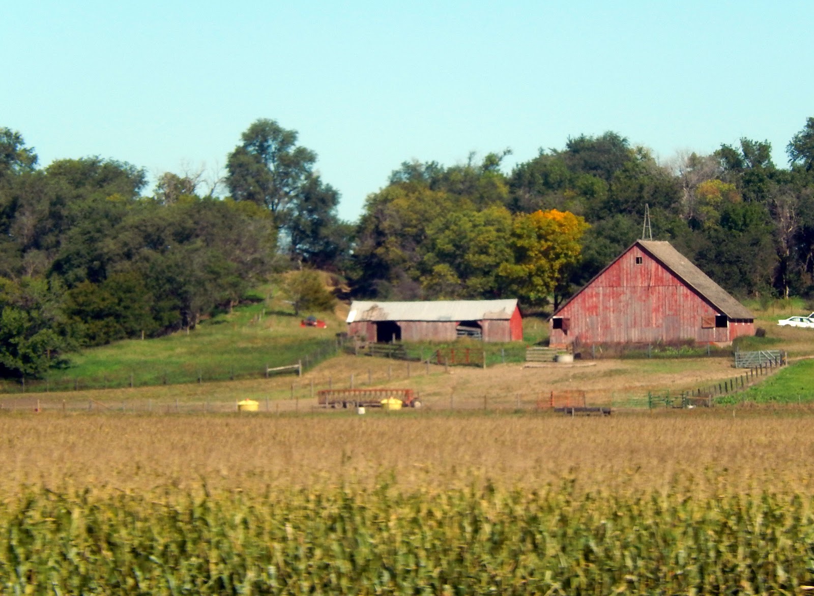 Cat Patches: Cottonwood Lake State Recreation Area, Merriman, Nebraska