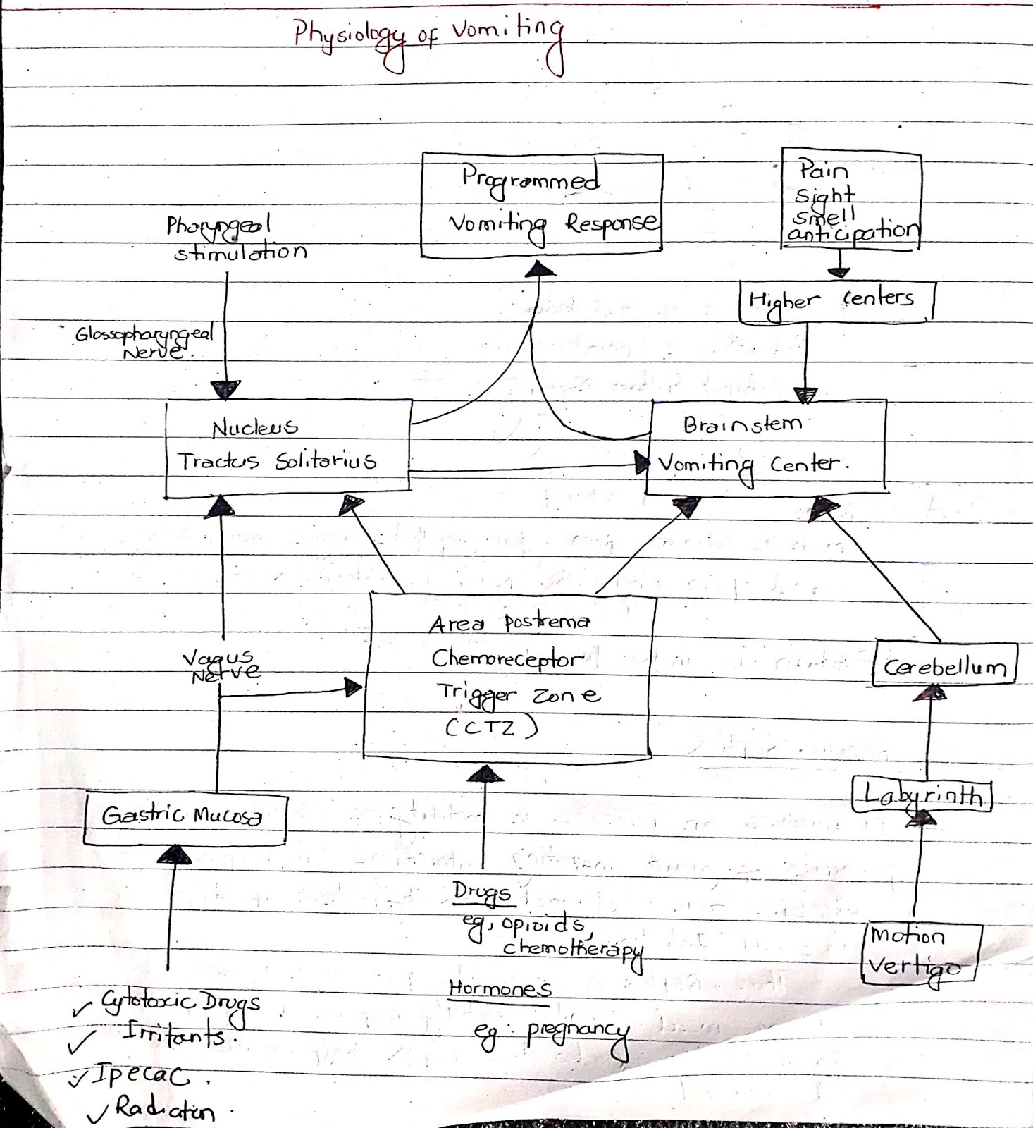 Physiology of Vomiting [Simplified Mechanism] with Clinical Correlation ...