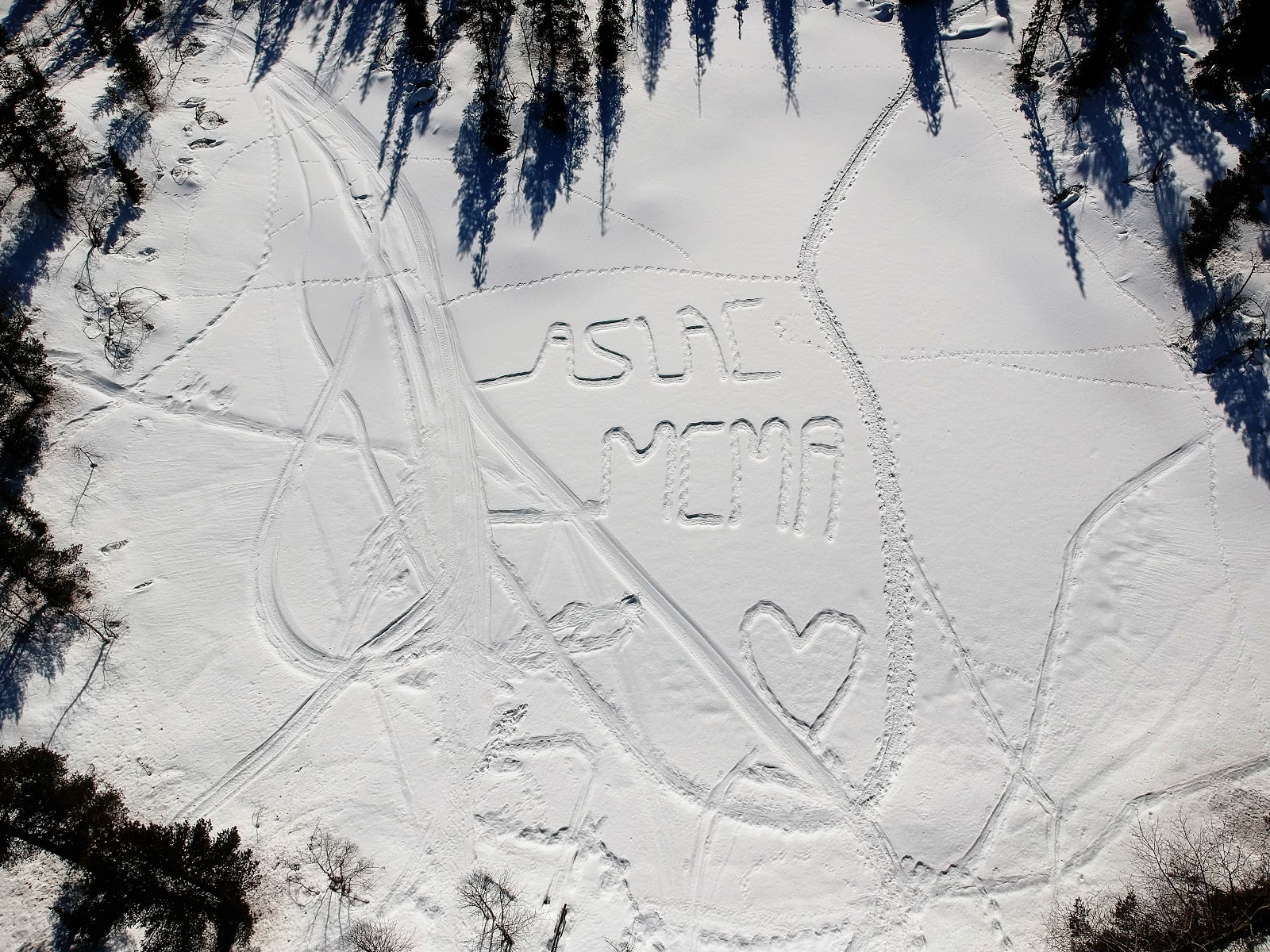 Askelmittari: Iso vaalee