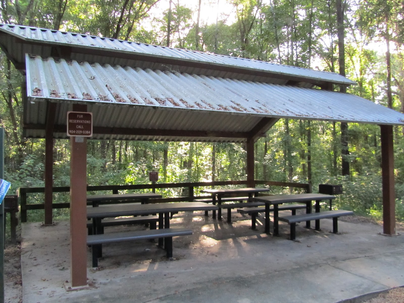 Nature Is Real: Alpine Groves Park