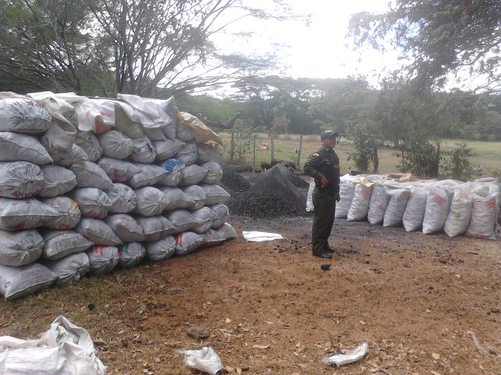 ESCUELA MINGA DEL SOL: INCAUTADO CARBÓN VEGETAL EXTRAÍDO DE MANERA ILEGAL